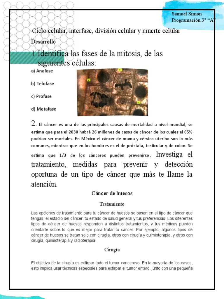 Biologia Ciclo Celular Samuel SImon | PDF