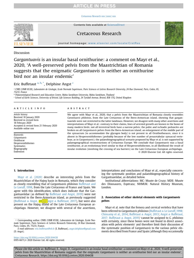 Gargantuavis: Basal Ornithurine Debate | PDF | Birds