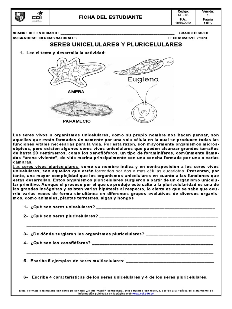 Ficha Unicelulares y Pluricelulares | PDF
