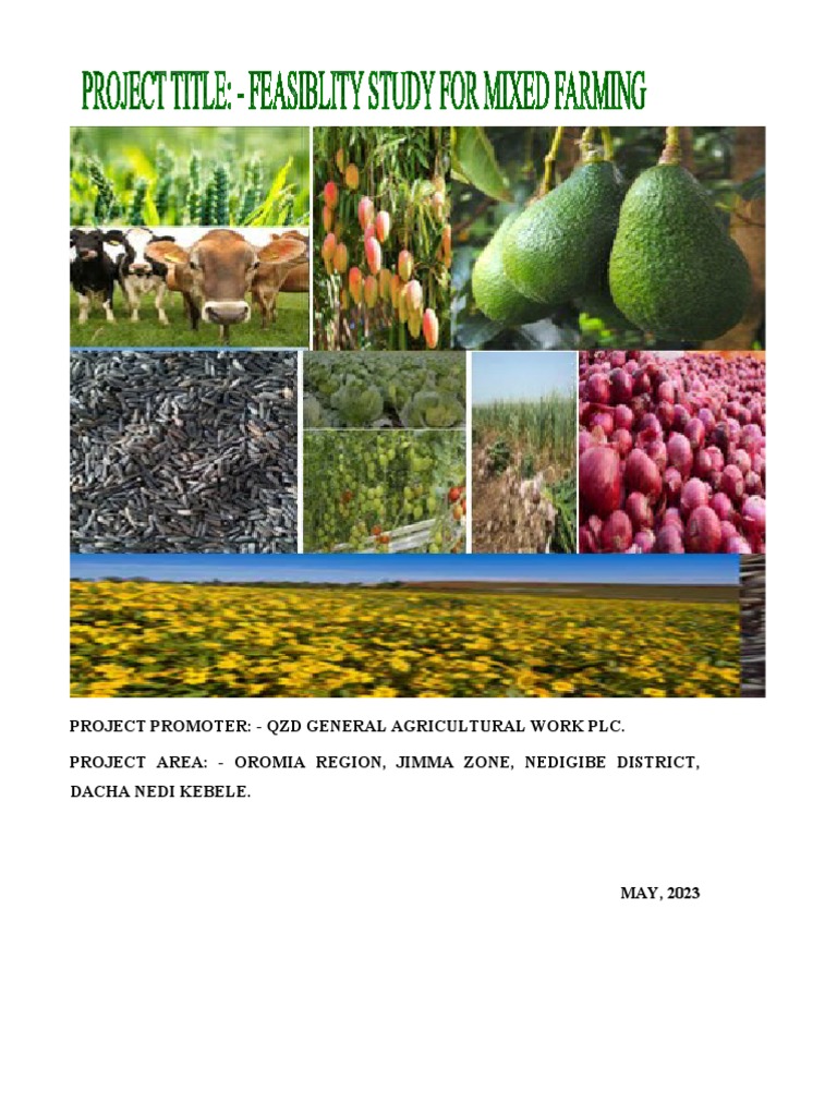 Mixed Farm Project Proposal | PDF