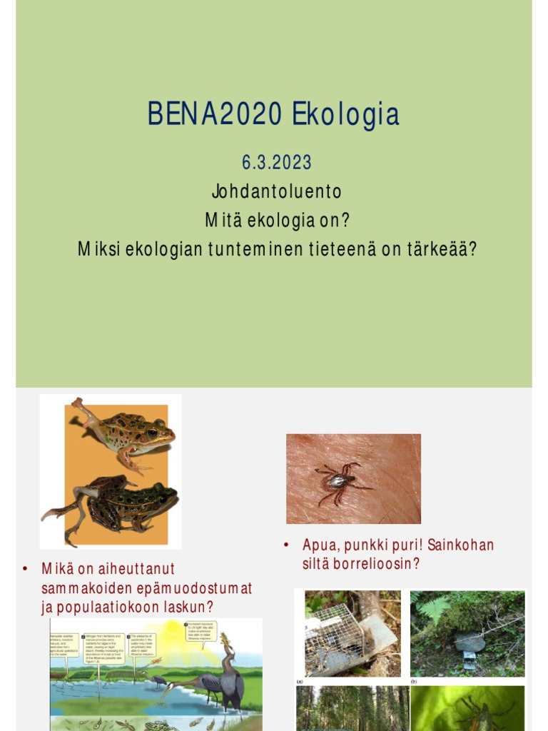 Luento 1 Johdanto | PDF