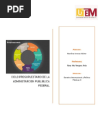 Estructura Programática PPE 2025 | PDF | Presupuesto | Evaluación