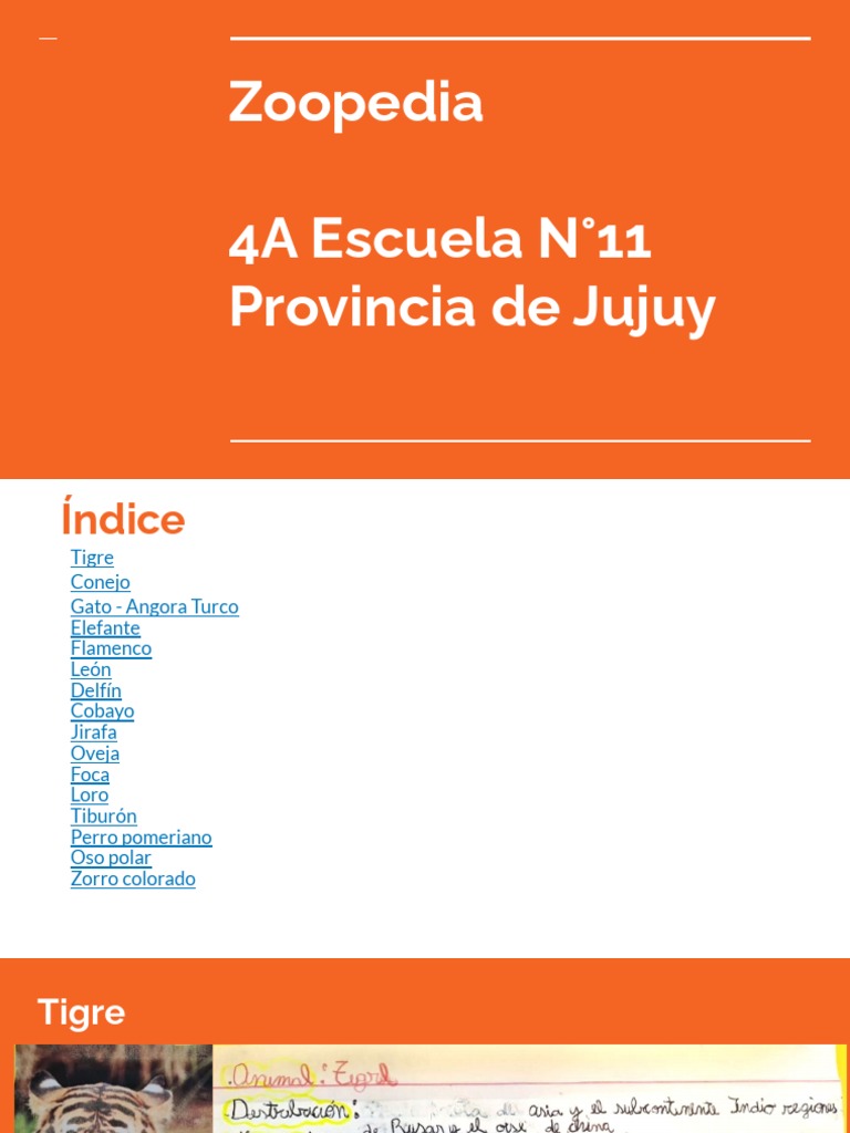 Zoopedia Final | PDF