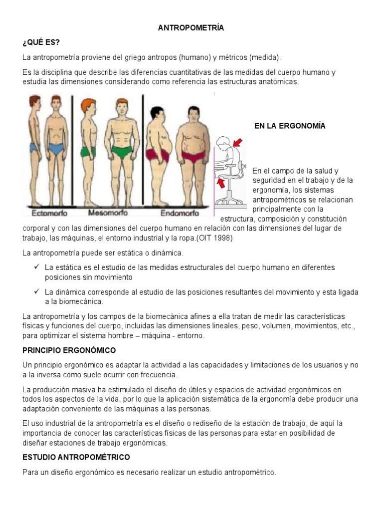 Exposicion de ANTROPOMETRÍA | PDF | Factores humanos y ergonomía ...