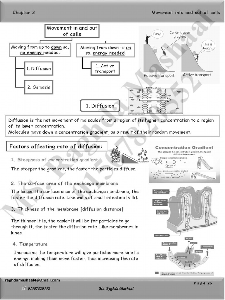 Biology Cambridge OL Ch3 Movement Into & Out of Cells | PDF