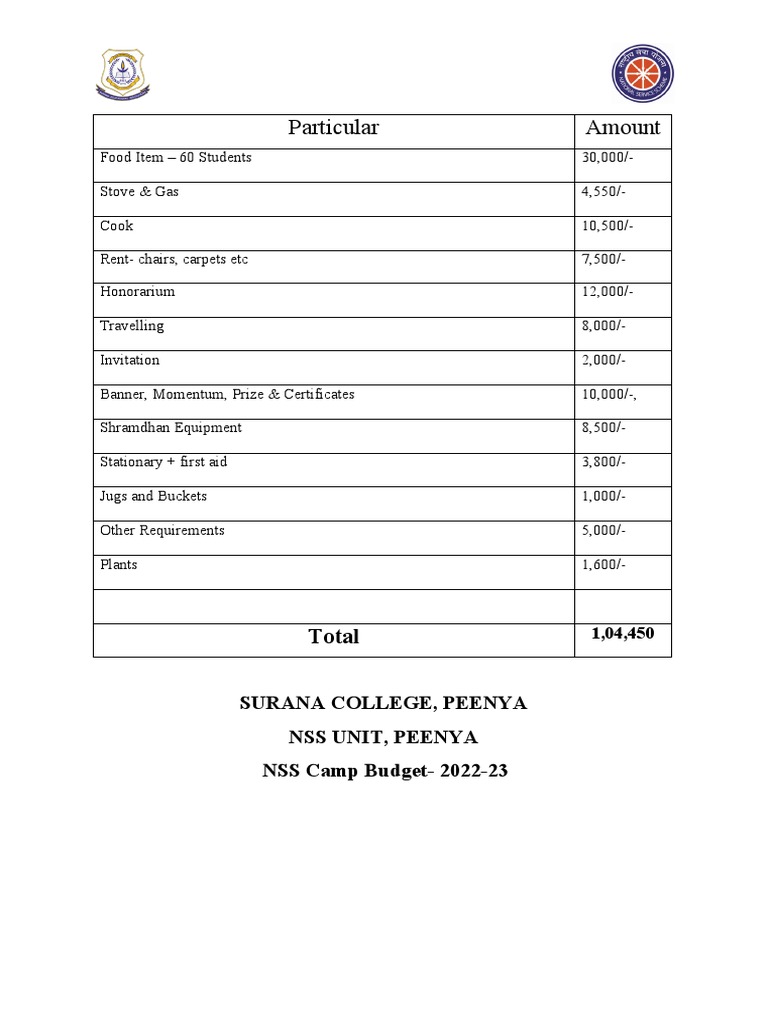 NSS Budget Work | PDF