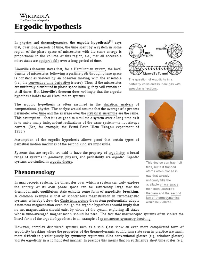 Ergodic Hypothesis | PDF | Mathematical Physics | Mechanics