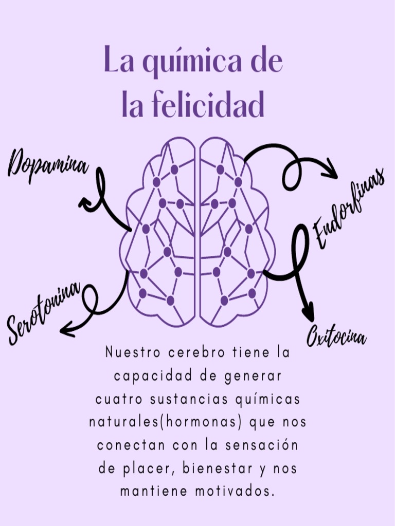 La Química de La Felicidad | PDF