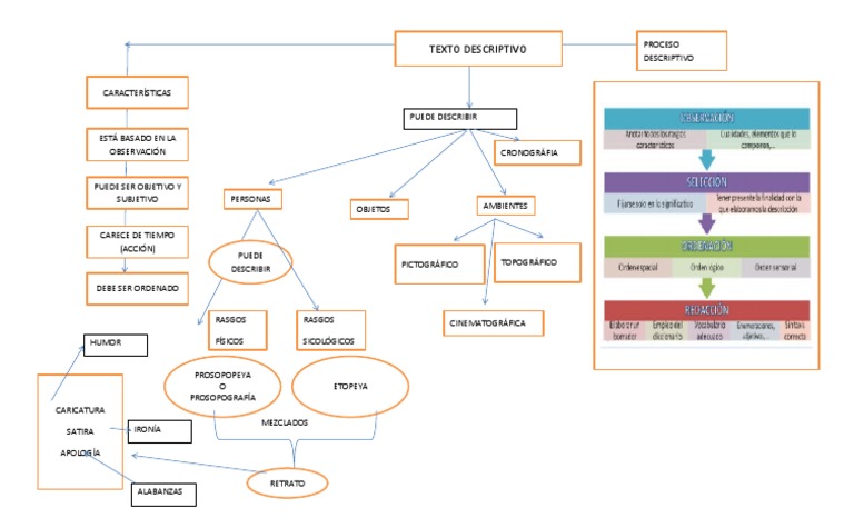 Mapa Conceptual Texto Descriptivo | PDF