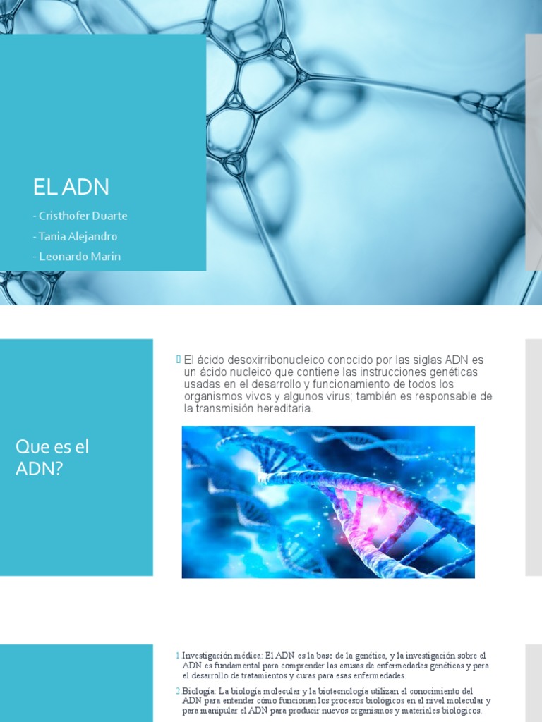 Explorando el ADN en Casa | PDF | Adn | Biología