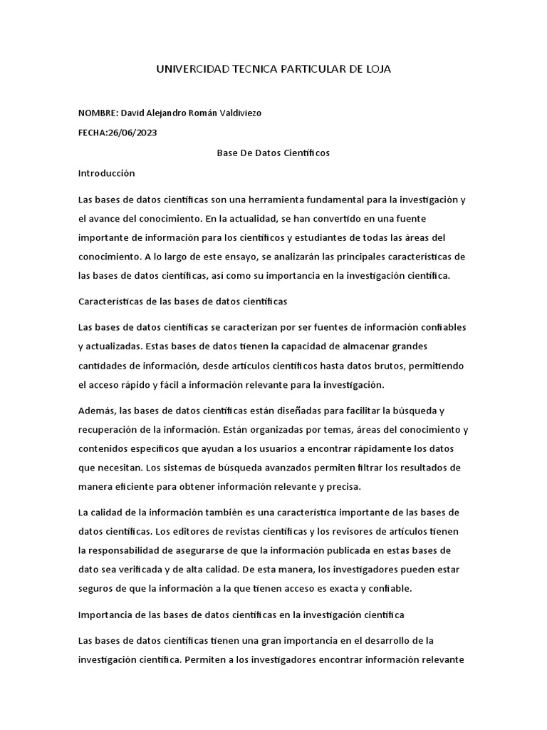 Ensayo - David Román | PDF | Bases de datos | Información