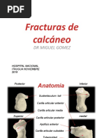 Músculos de La Espalda | PDF | La columna vertebral | Vértebra