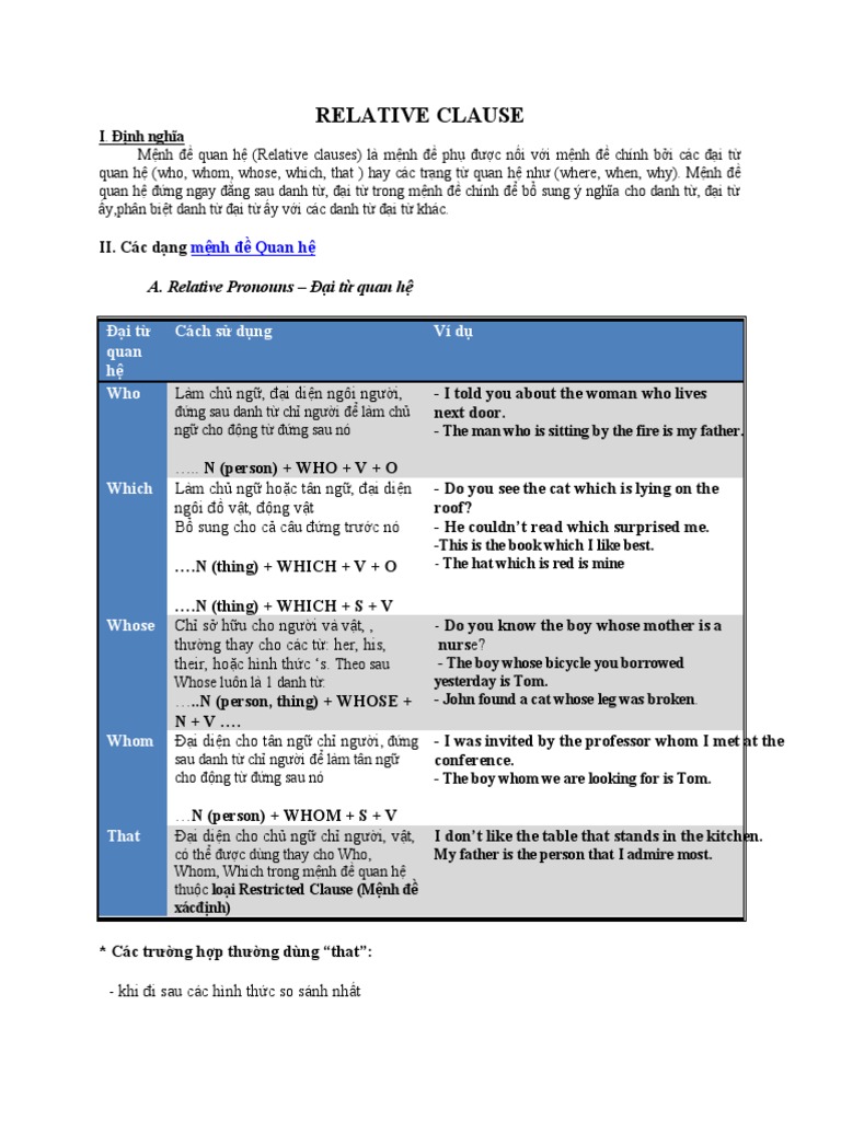 Lesson 15 Relative Clause HS | PDF