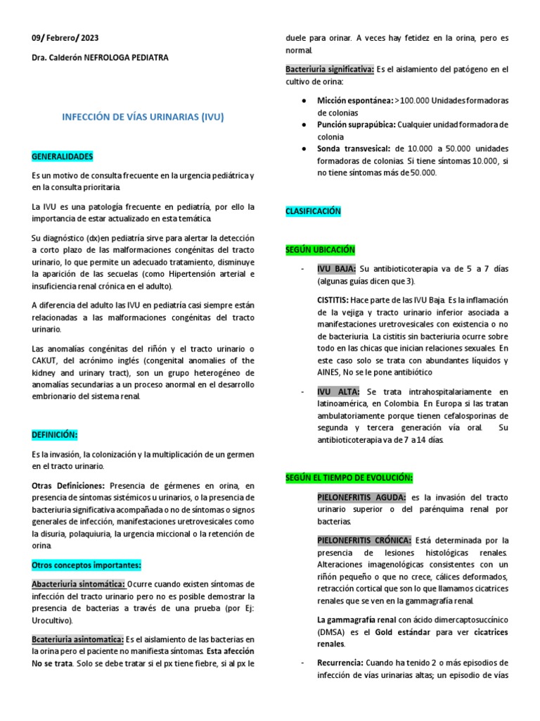 IVU Pediátrica: Diagnóstico y Manejo | PDF | Infección del tracto ...