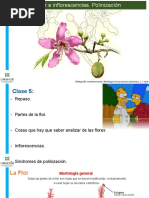 Las Plantas Vocabulary | PDF