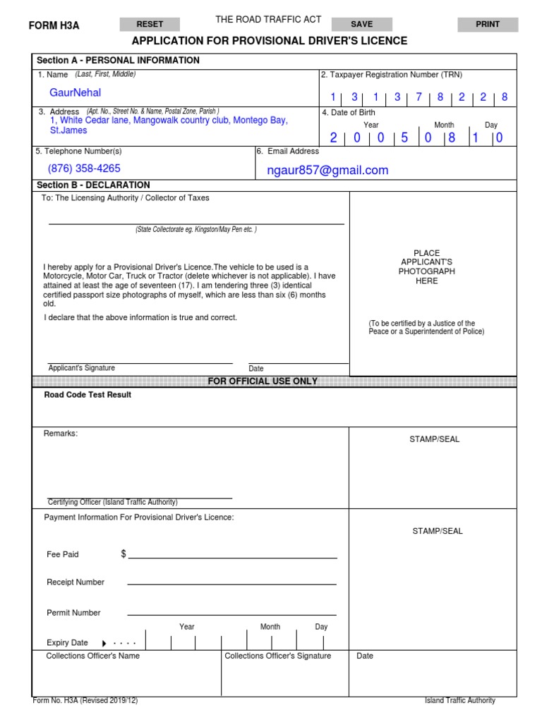 Drivers License Form | PDF | Driver's License | Government