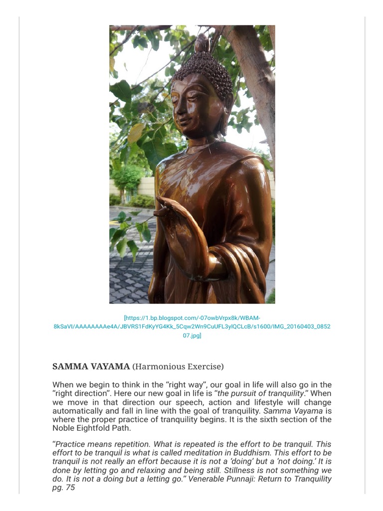 Samma Vayama - How To Guard The Senses and Maintain Good Thoughts ...