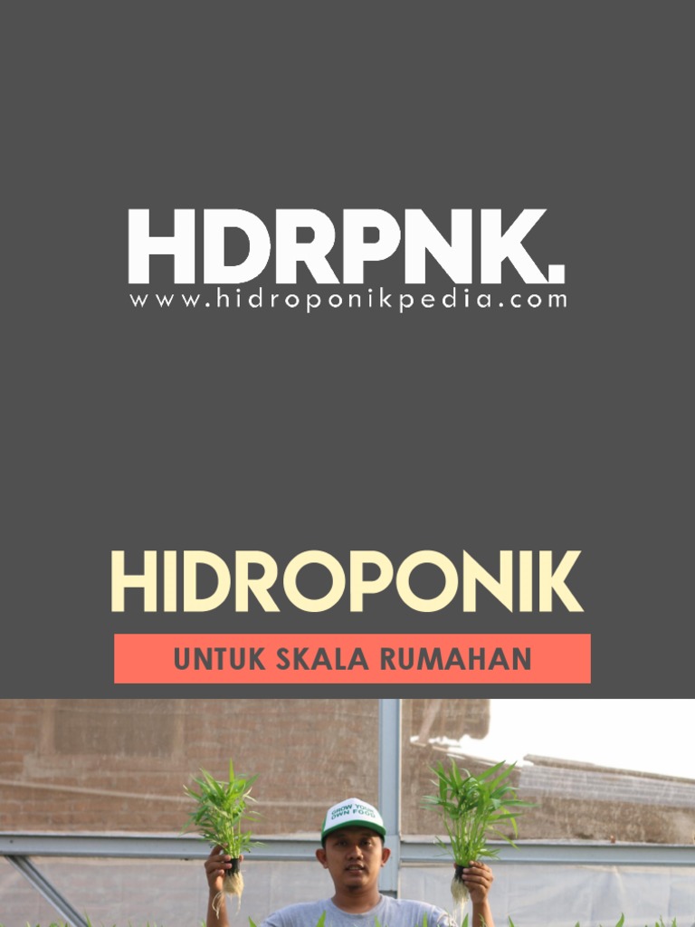 Materi Pelatihan Hidroponik Untuk Pemula by HIDROPONIKPEDIA | PDF | Griya & Taman