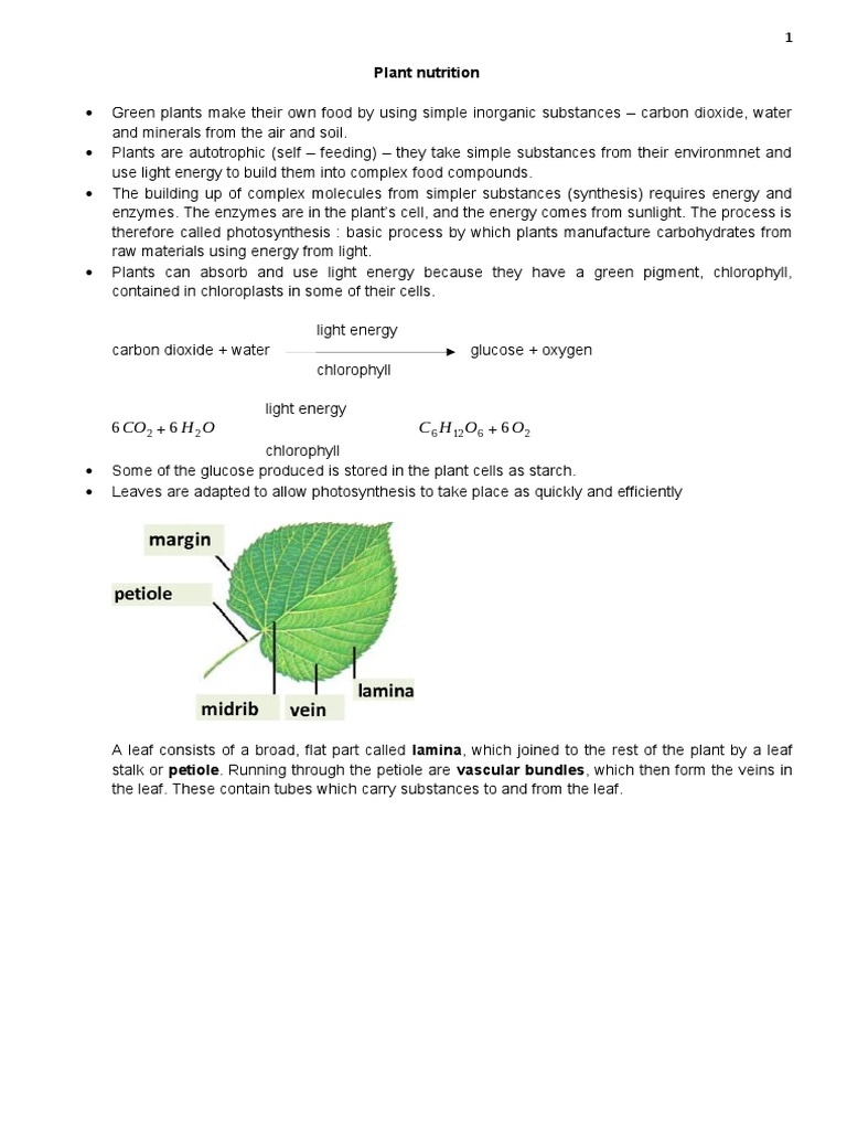 Plant Nutrition Note | PDF | Leaf | Photosynthesis