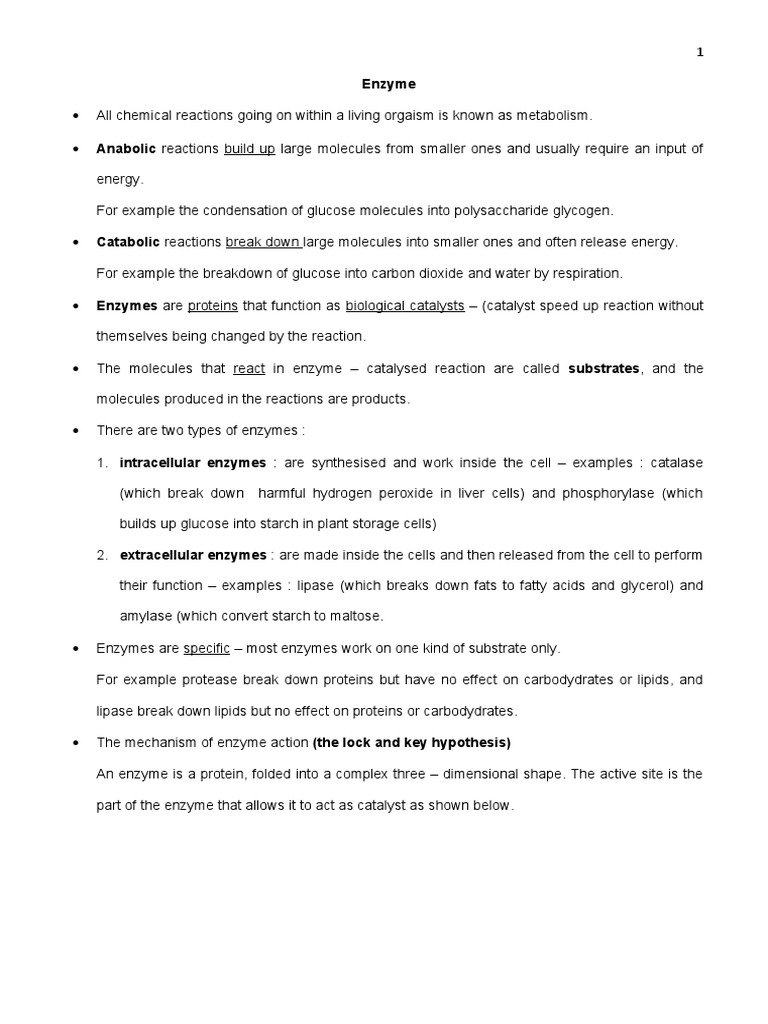 Enzyme Note | PDF | Enzyme | Active Site
