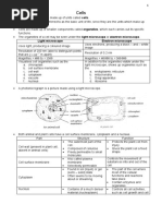 KS3 Science Revision Worksheets Cells | PDF | Vacuole | Cell (Biology)
