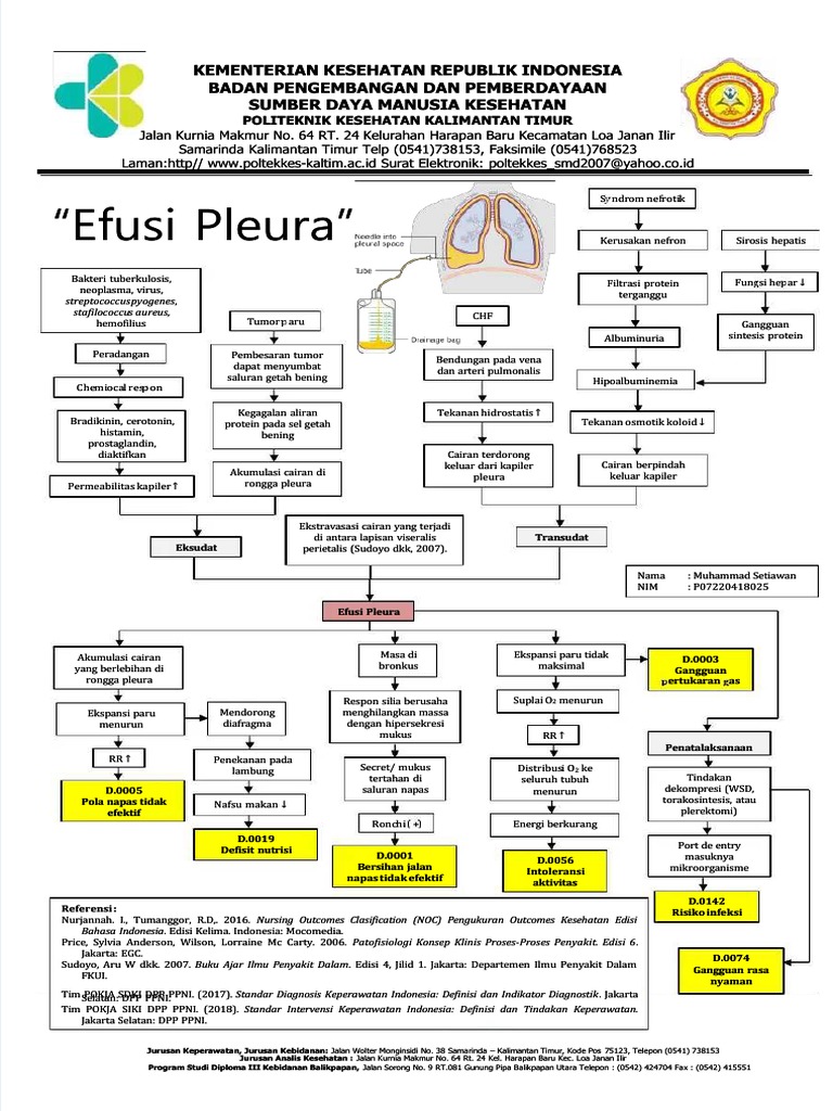 Pdf-Woc-Efusi-Pleura - Compress (1) 32BE2B5B542 | PDF