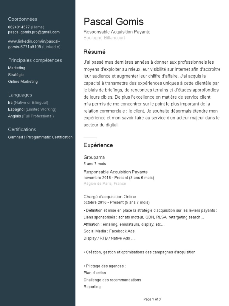 Pascal GOMIS CV | PDF | Commercialisation | Business