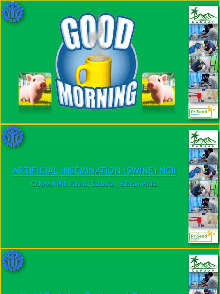 Swine Artificial Insemination Training Guide | PDF | Semen | Temperature