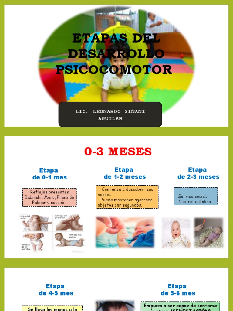Desarrollo Psicomotor Infantil | PDF | Sicología | Ciencia cognitiva