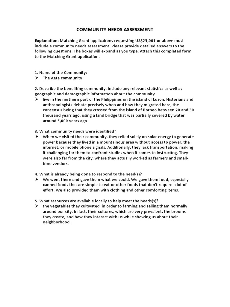 Community Needs Assessment | PDF