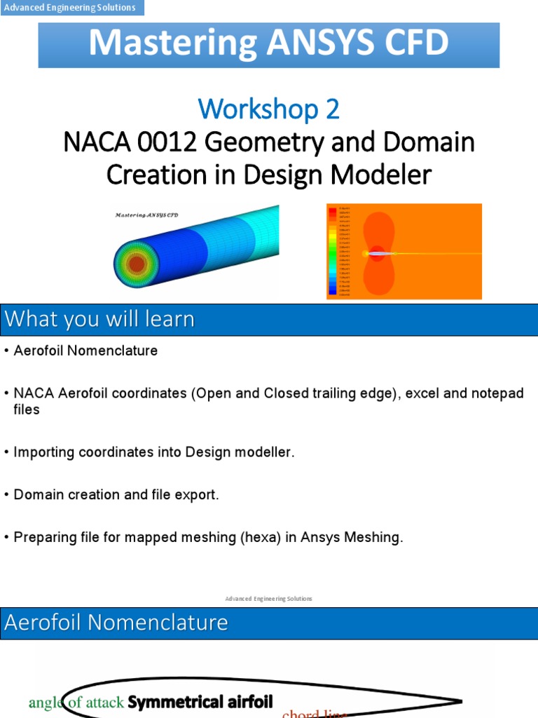 Ws2 Naca0012 Dm | PDF