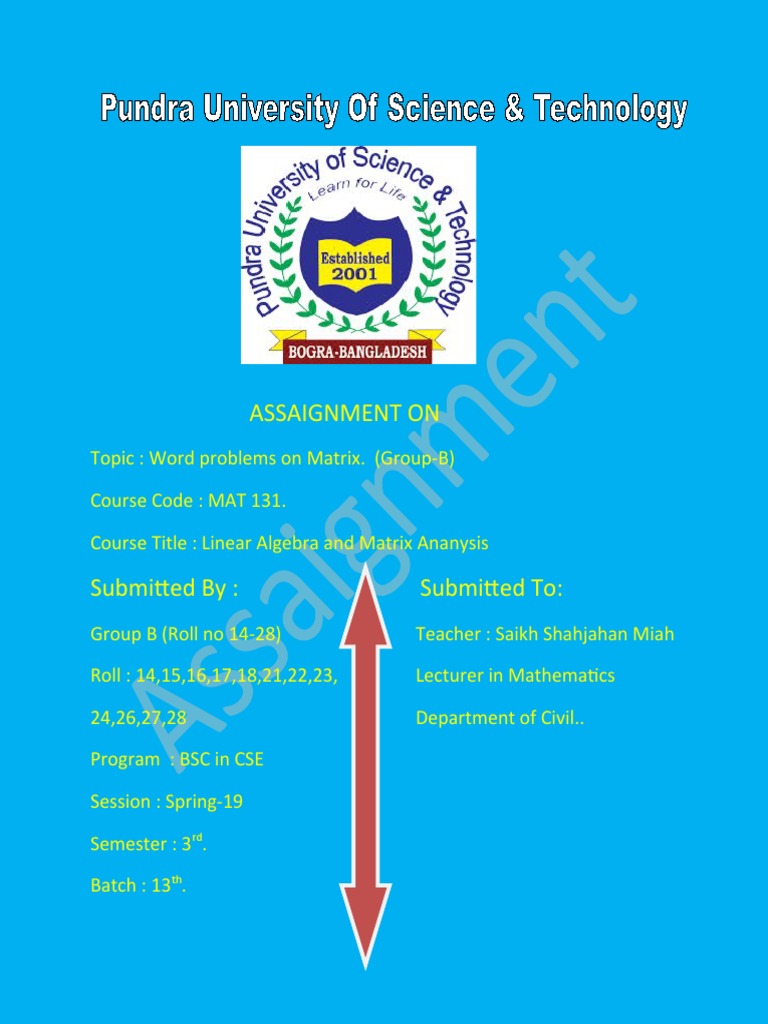 Word Problems On Matrix | PDF
