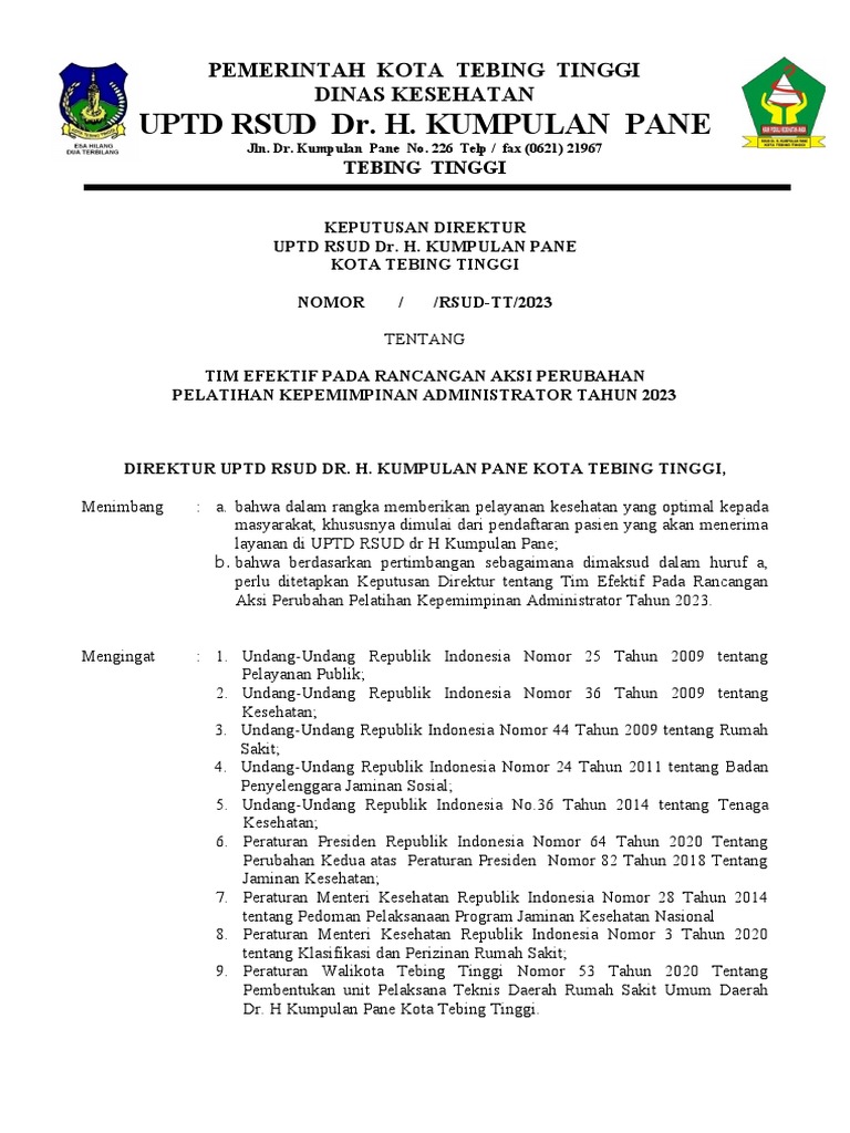 SK TIM EFEKTIF RAP DRG LILI MARLIANA | PDF