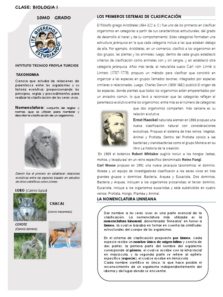 Clasificacion de Los Seres Vivos 2021 | PDF | Taxonomía (biología ...