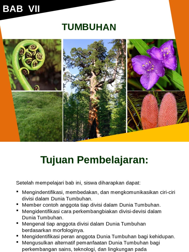 Bab 7 Tumbuhan | PDF