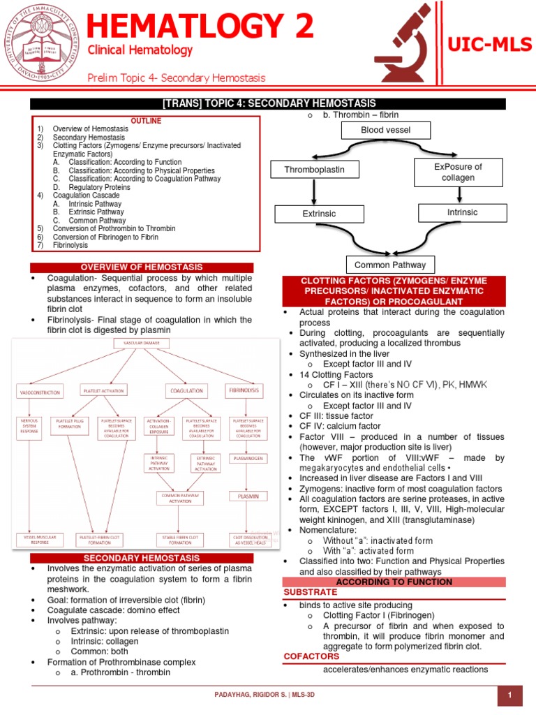 Hema 2 - Prelim Topic 4 - Secondary Hemostasis | PDF | Coagulation | Cell Biology