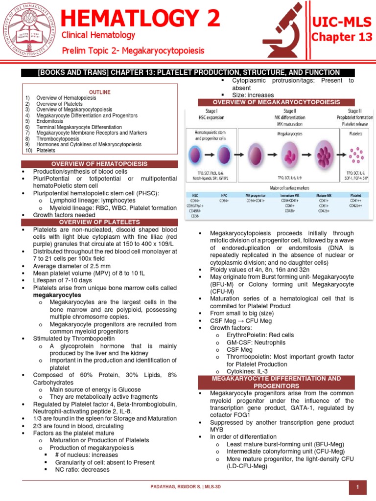 Hema 2 - Prelim Topic 2 - Megakaryocytopoiesis | PDF | Platelet | Mitosis