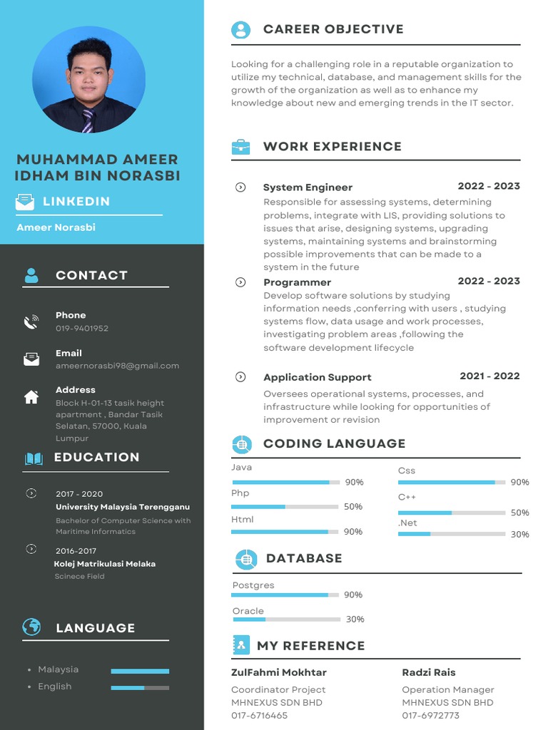 Resume Ameer Updated | PDF