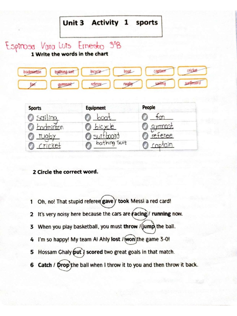 Unit 3 Activity 1 | PDF
