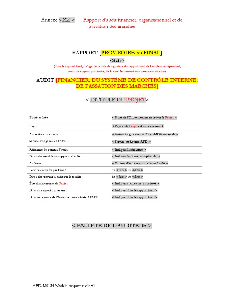Rapport d'Audit Financier et Organisationnel | PDF | Audit | Risque
