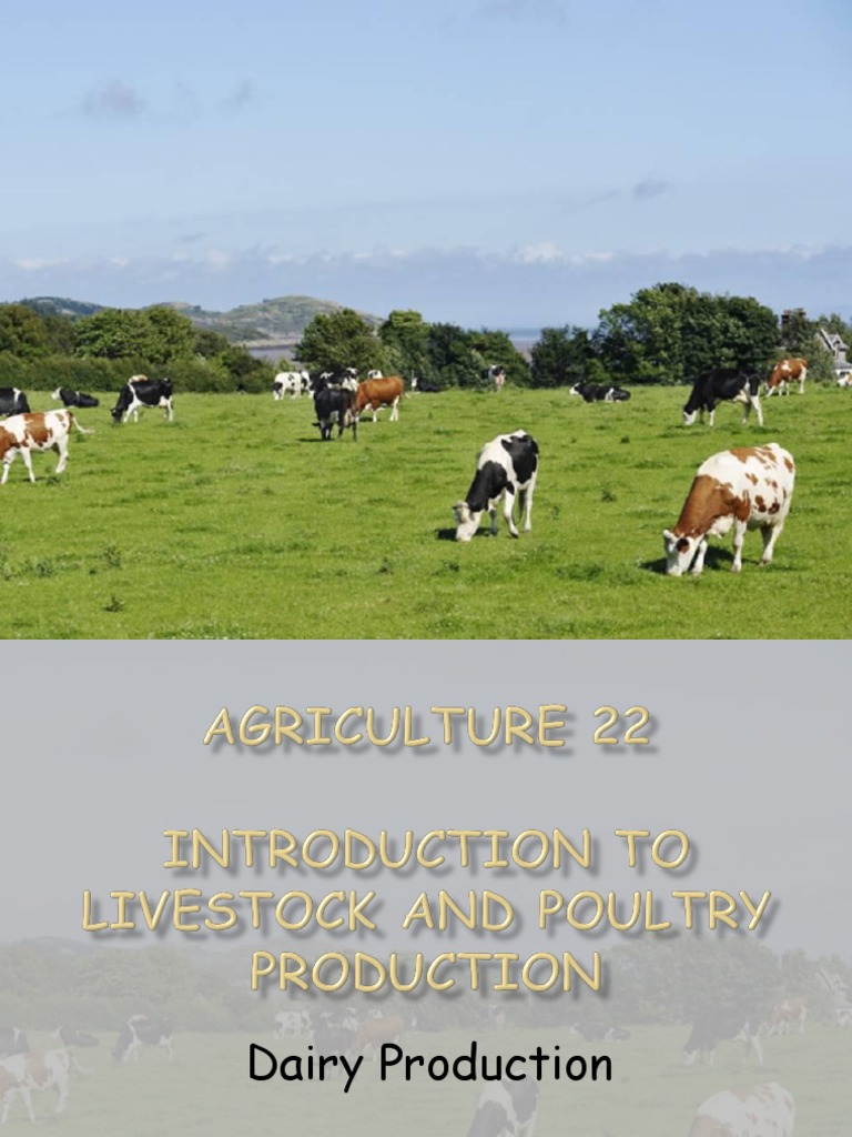 Agri 22 Dairy Production Lec01 | PDF | Wellness