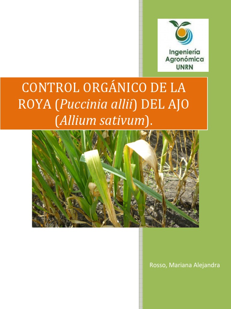 CONTROL ORGÁNICO DE LA ROYA (Puccinia Allii) DEL AJO (Allium Sativum ...