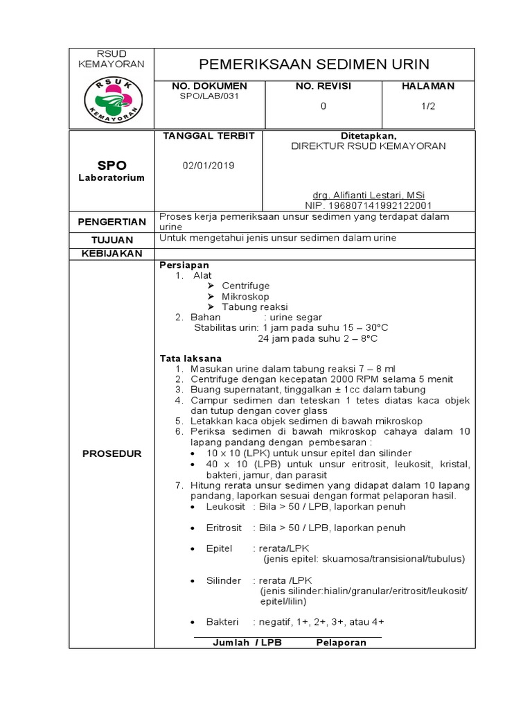 Panduan Pemeriksaan Sedimen Urin | PDF