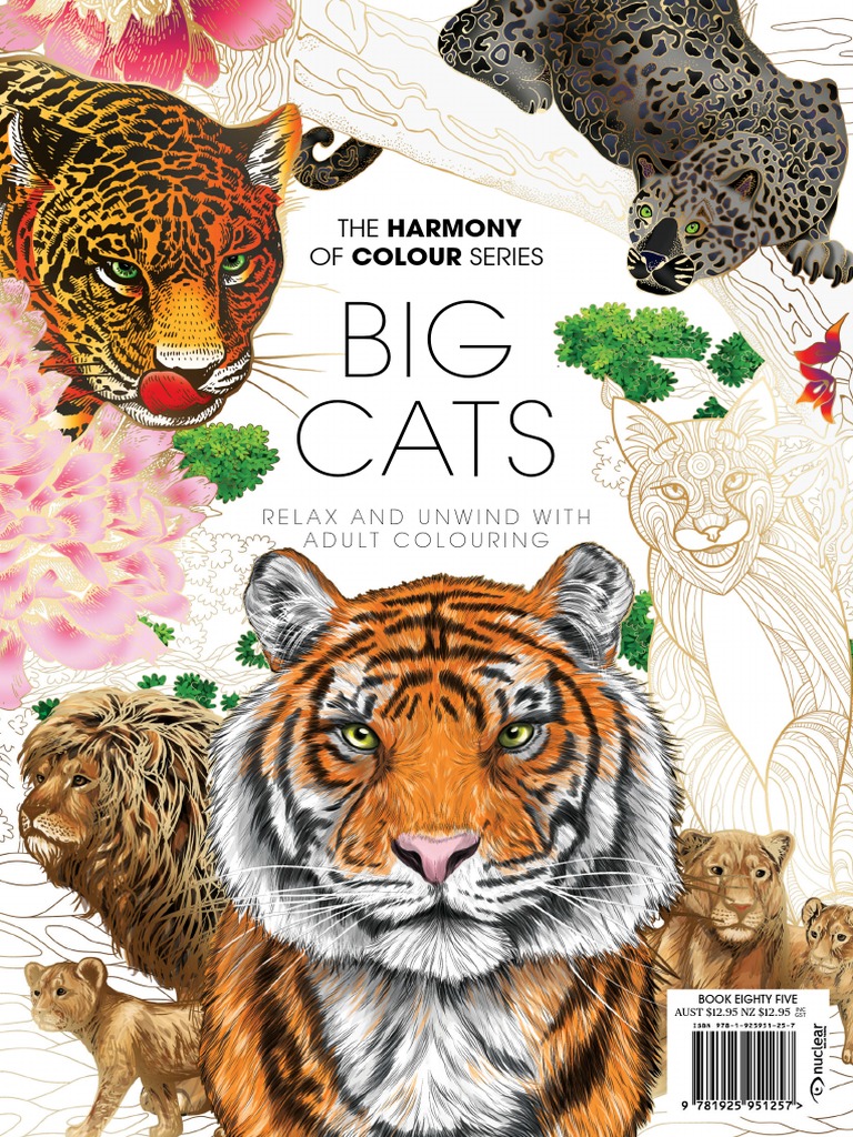 Colouring Book - Issue 85 Big Cats | PDF