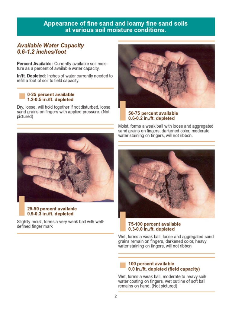 Soil Moist Test | PDF