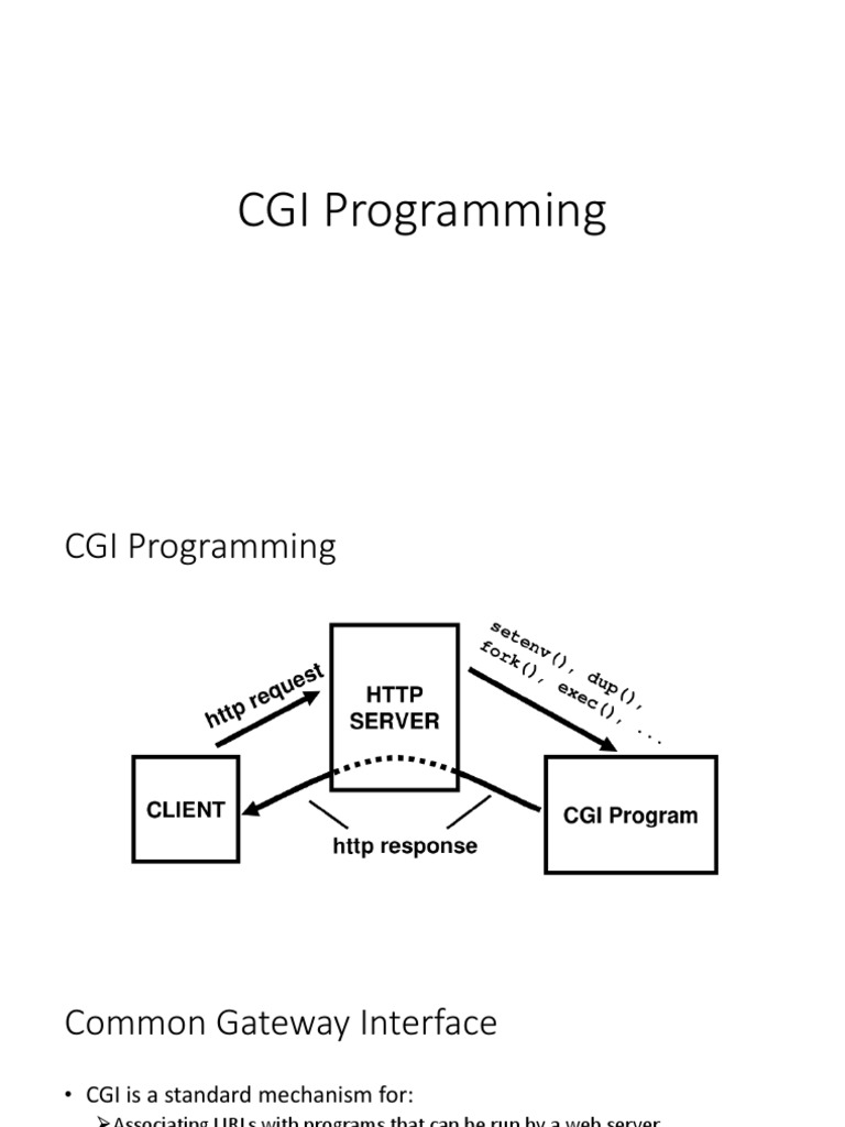 07 Cgi | PDF | Networking | Internet & Web