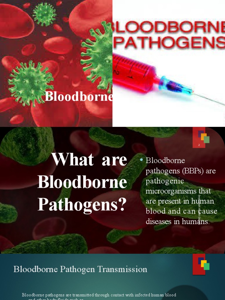 Blood Borne Diseases | PDF | Hiv/Aids | Hepatitis