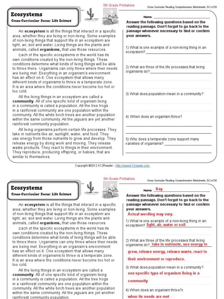 Ecosystems Reading and Questions With Key 2 | PDF | Ecosystem | Life