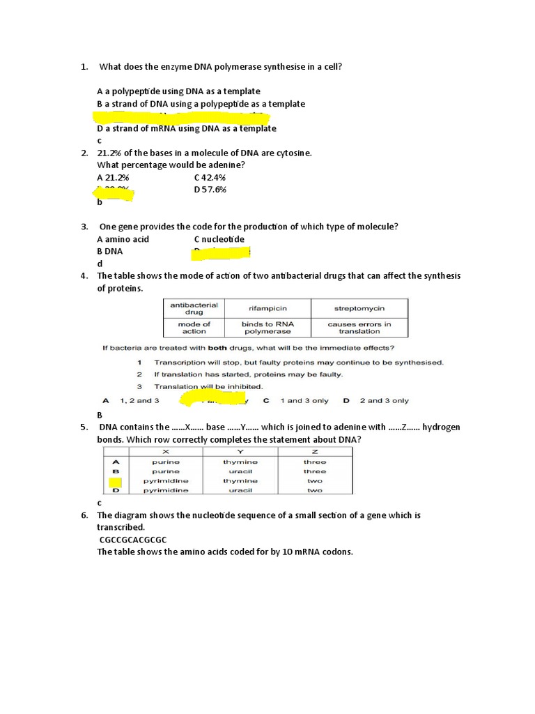 Long Test As Level Nucleic Acid | PDF | Dna | Nucleic Acid Sequence