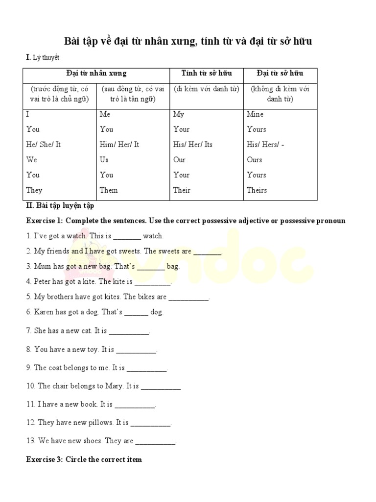 Bai Tap Ve Dai Tu Nhan Xung Tinh Tu Va Dai Tu So Huu | PDF